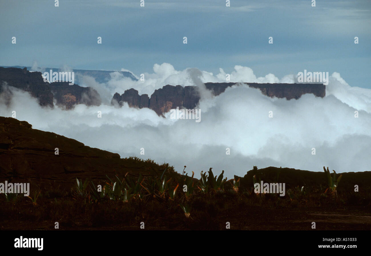 View from the top of Mount Roraima in the clouds, with Mount Kukenan in ...