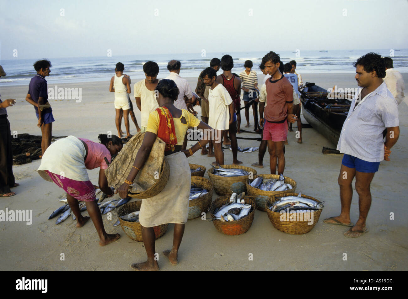 Ida161 hi-res stock photography and images - Alamy