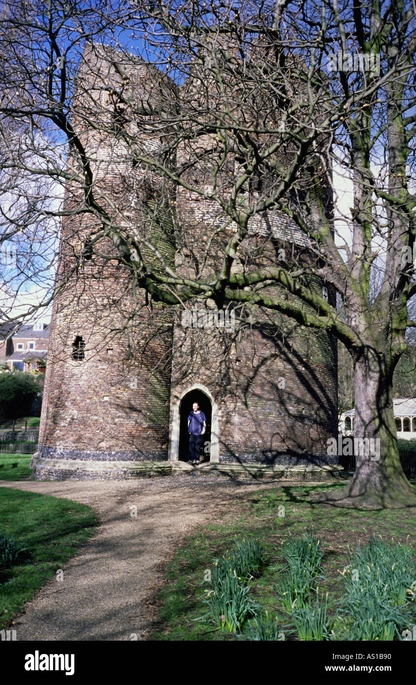 Cow tower, norwich hi-res stock photography and images - Alamy
