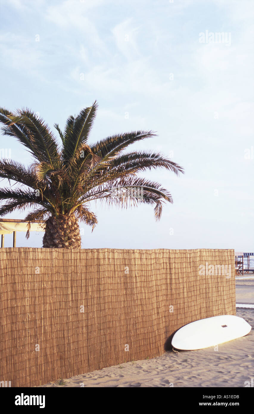 beach with a surf bord Stock Photo - Alamy