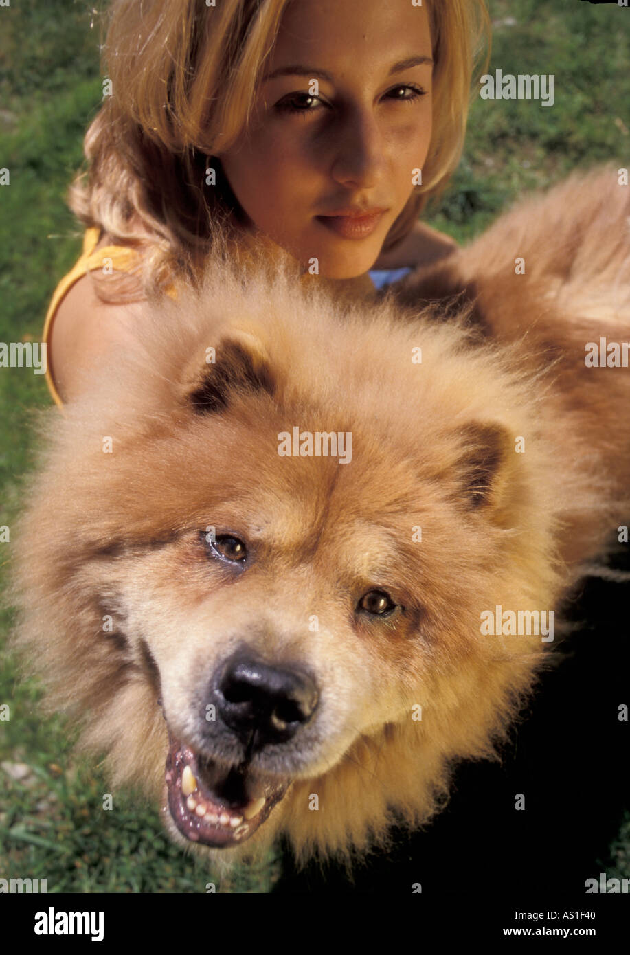 Dog owner Girl with Chow Chow dog Stock Photo - Alamy