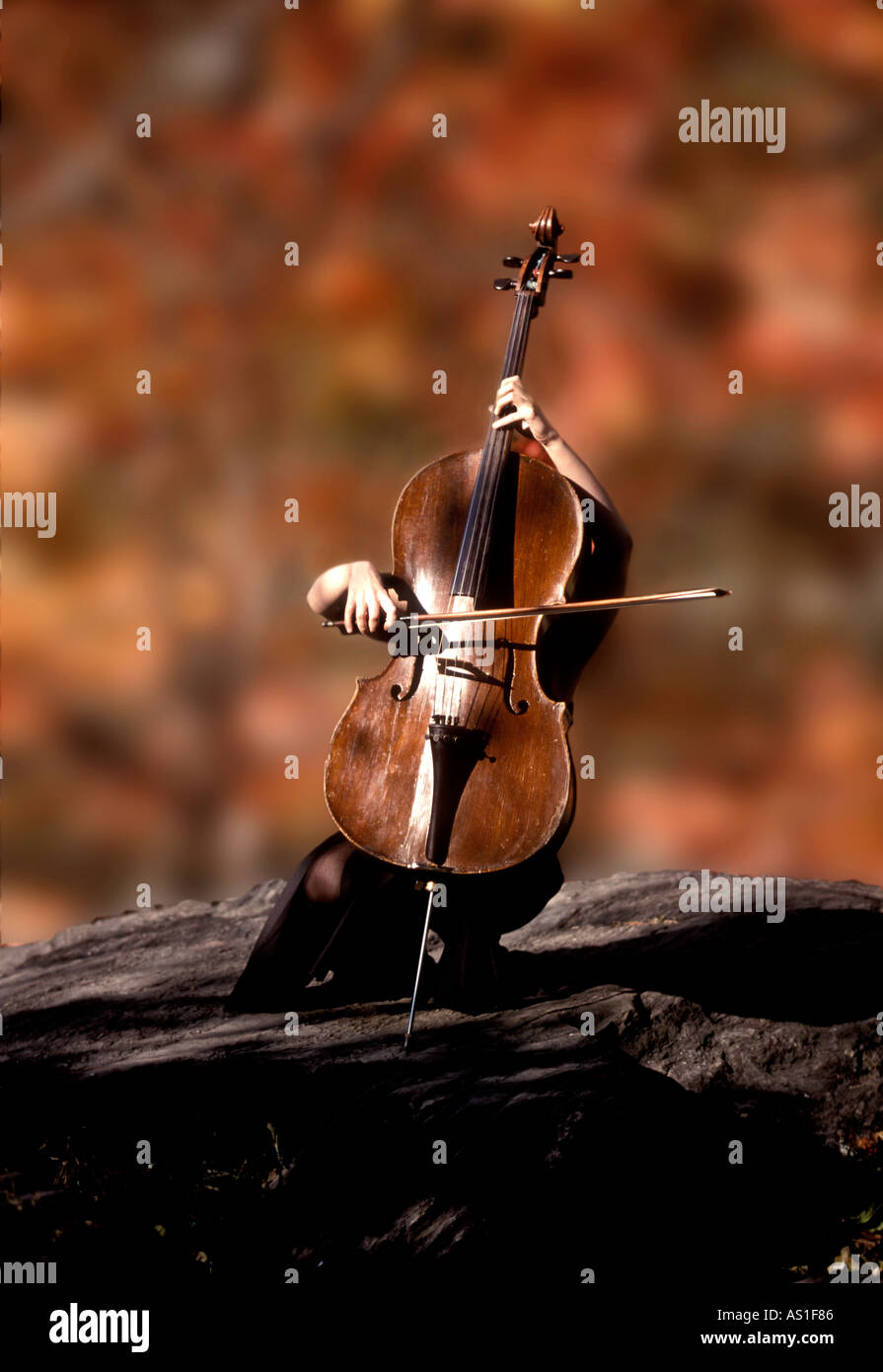 Big cello hi-res stock photography and images - Alamy