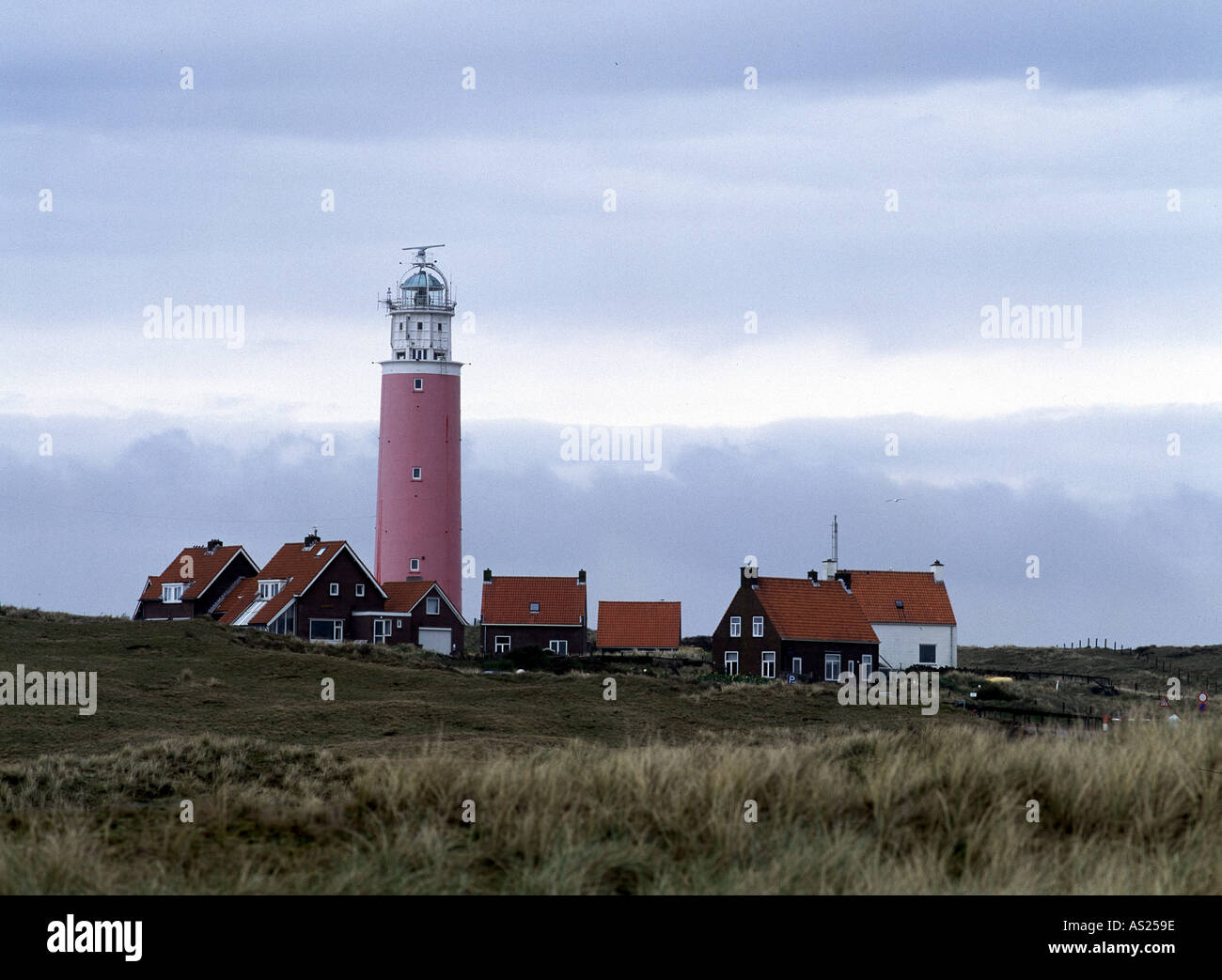 Insel texel hi-res stock photography and images - Alamy