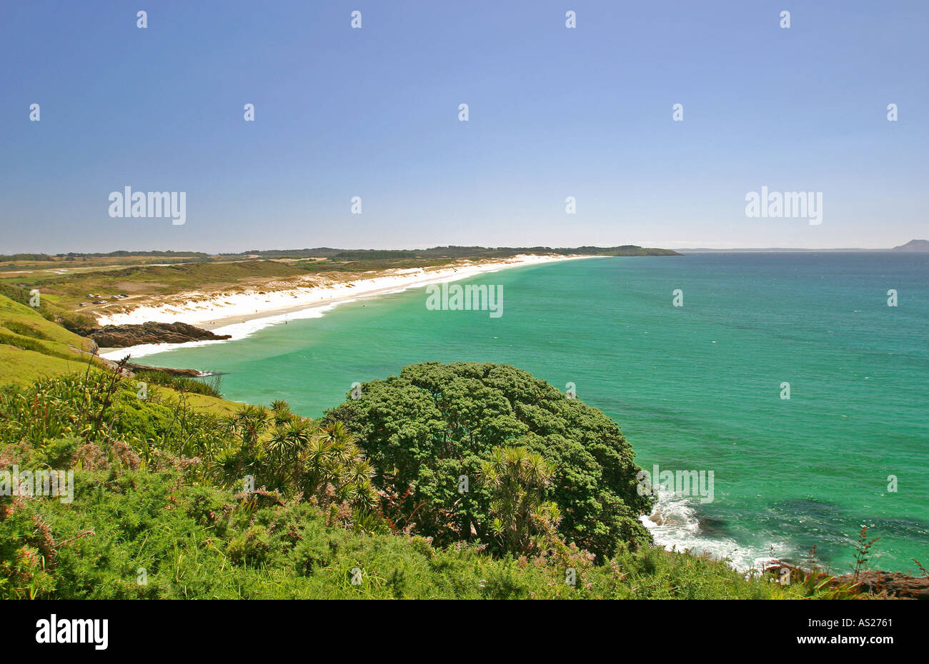 puheke beach north island new zealand Stock Photo - Alamy