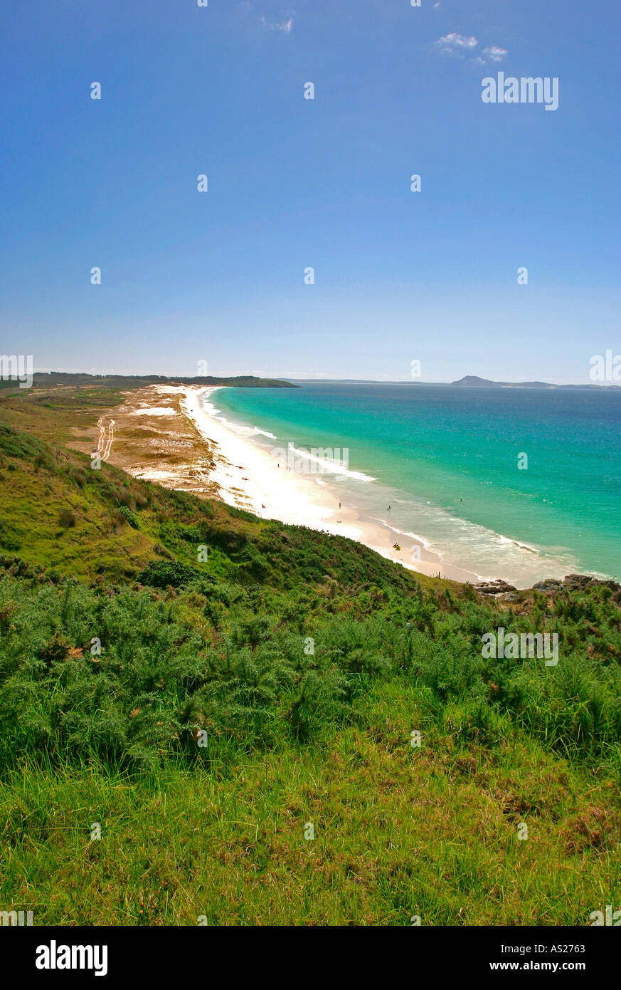 Puheke hi-res stock photography and images - Alamy
