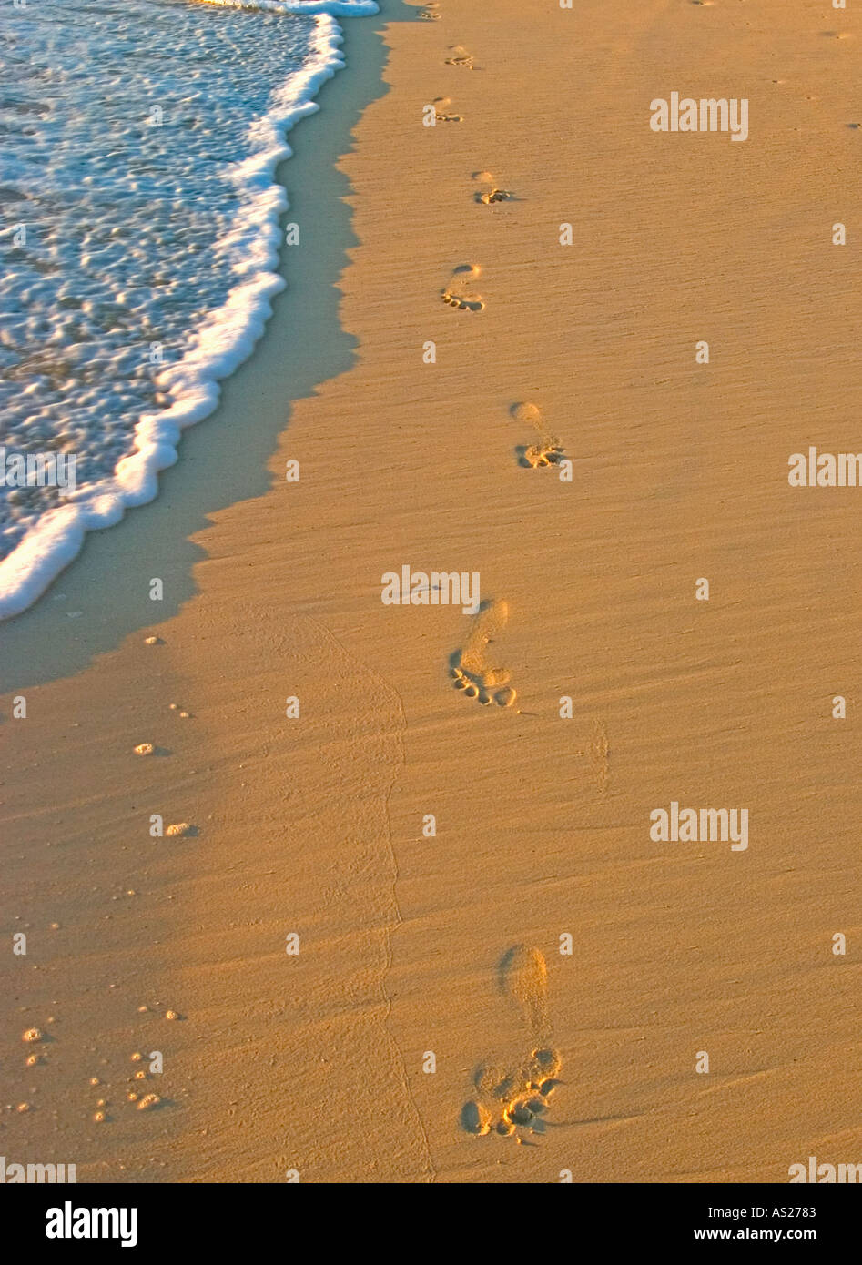 footprints in the sand of a tropical beach Stock Photo - Alamy