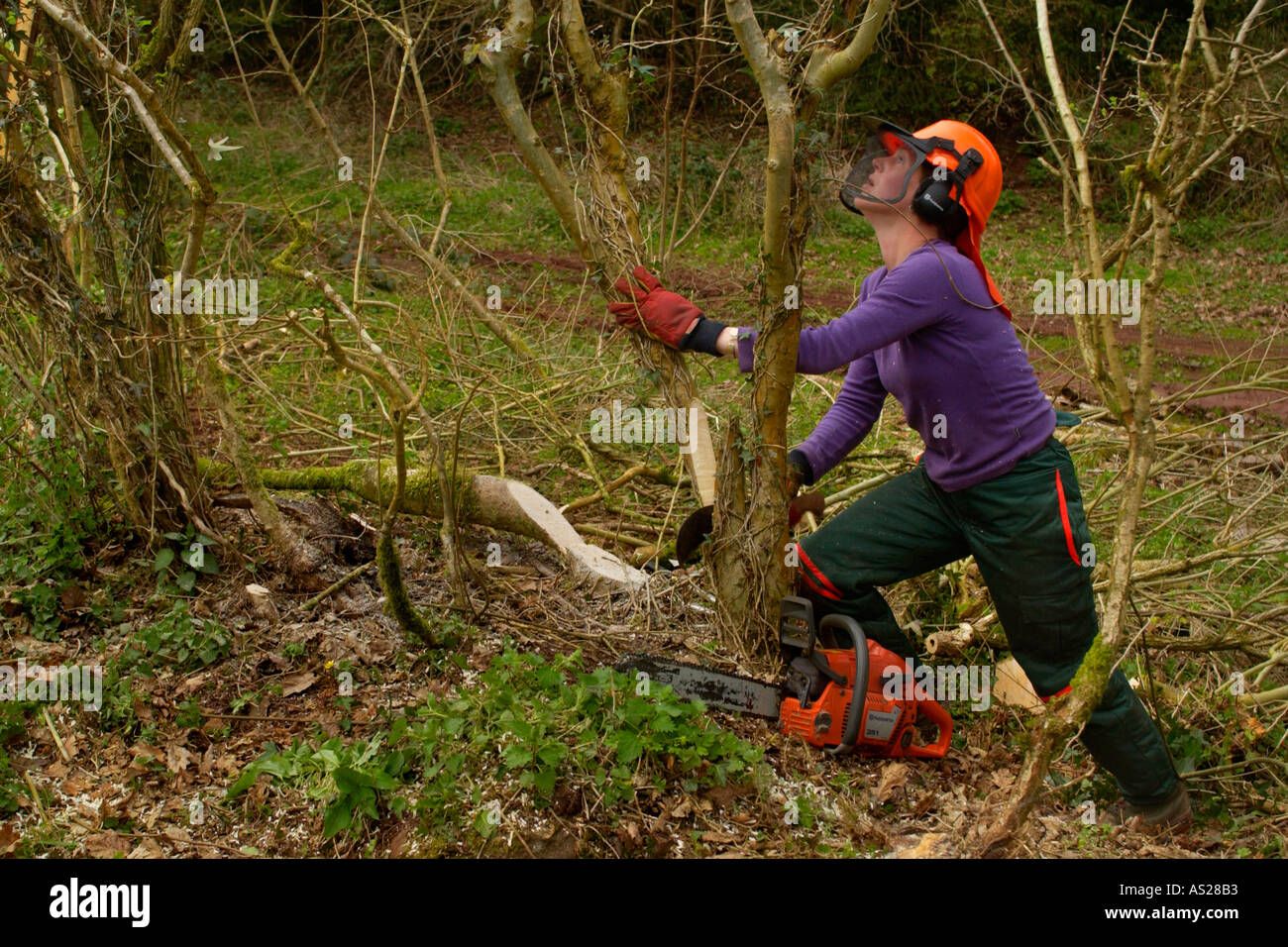 Female hedge layer work on hi-res stock photography and images - Alamy