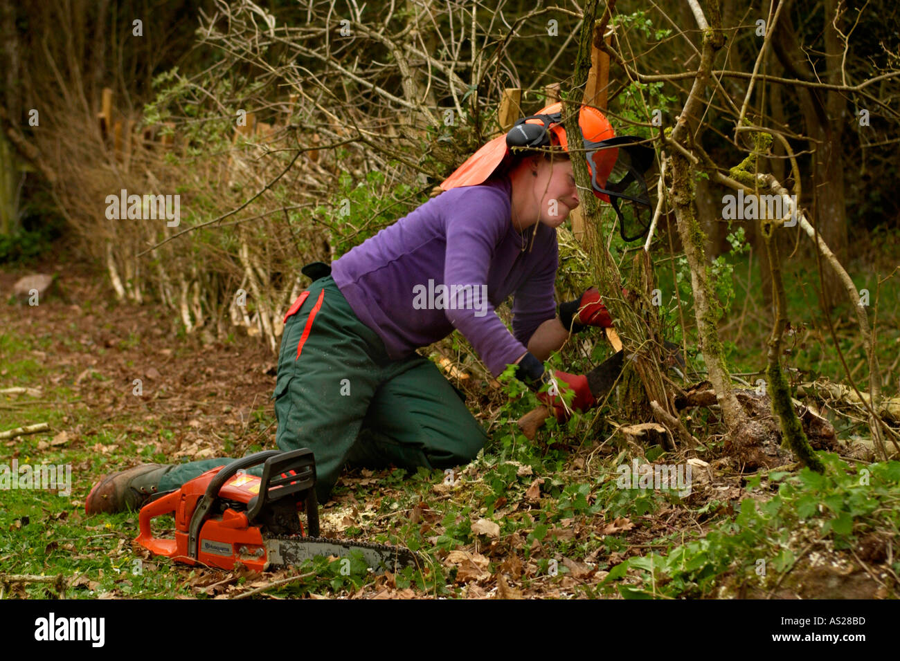 Hedge layer hi-res stock photography and images - Alamy