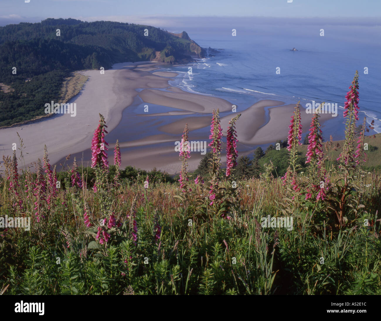 Oregon s Cascade Head and the Salmon River Estuary Stock Photo - Alamy
