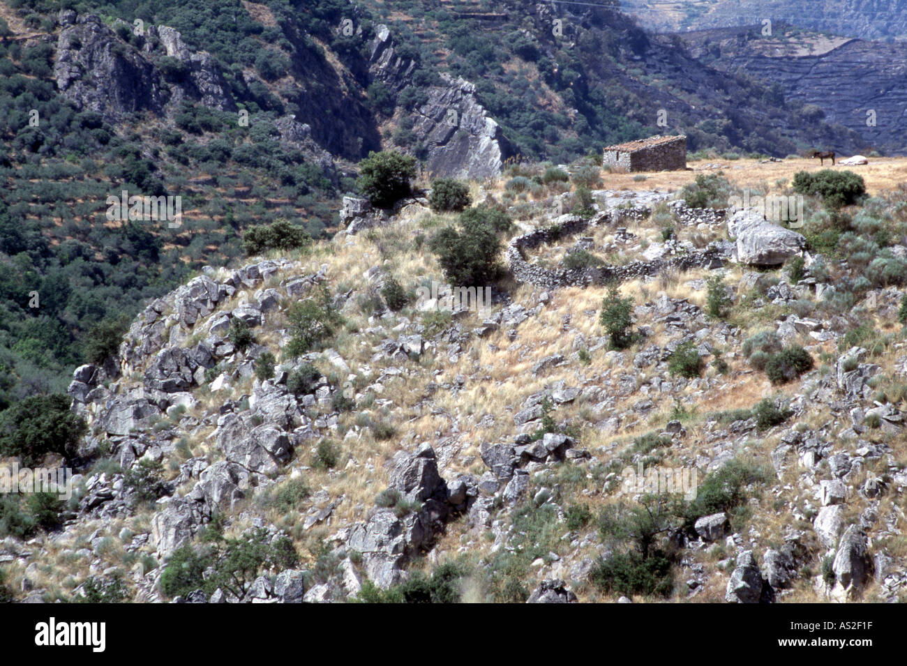 Perena, Umgebung, Landschaft mit Pferden Stock Photo - Alamy