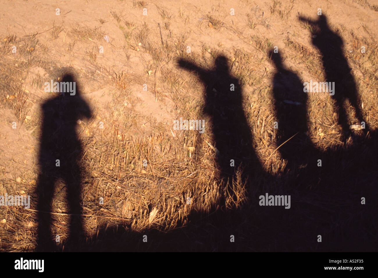 Shadows of photographers cast onto ground Stock Photo - Alamy
