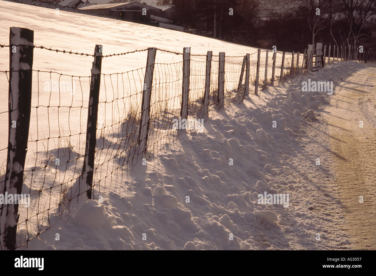 Field boundary fences hi-res stock photography and images - Alamy