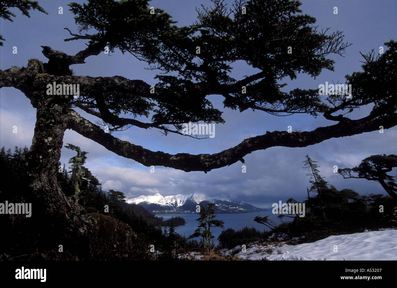 Knight island prince william sound hi-res stock photography and images ...