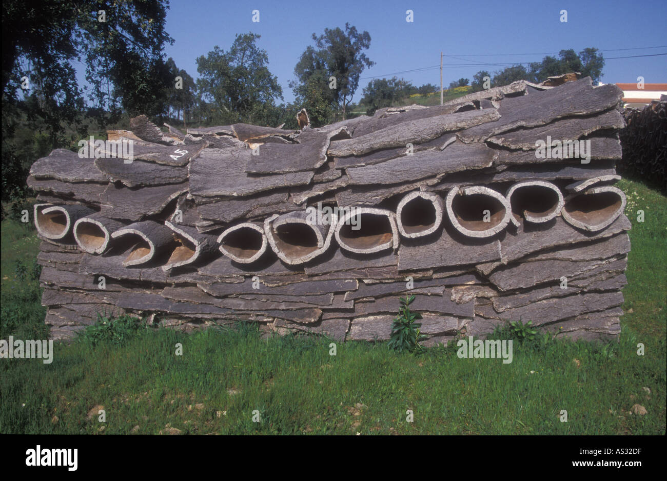 Cork from cork oak trees hi-res stock photography and images - Alamy