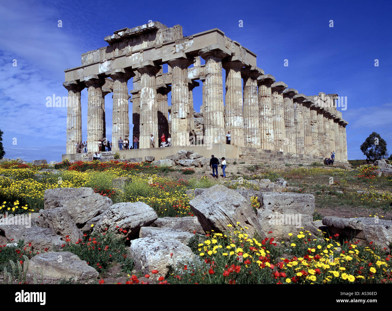 Selinunt, griechischer Tempel, Aussenansicht Stock Photo - Alamy