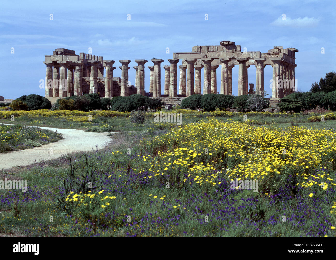 Selinunt, griechischer Tempel, Gesamtansicht Stock Photo - Alamy