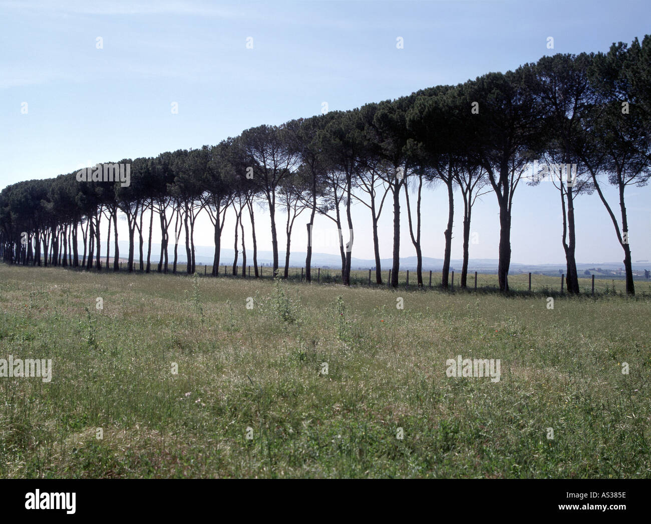 Lentini sicily hi-res stock photography and images - Alamy