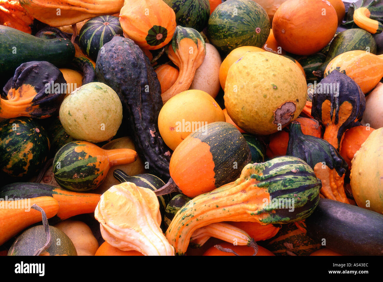 Rotting produce hi-res stock photography and images - Alamy