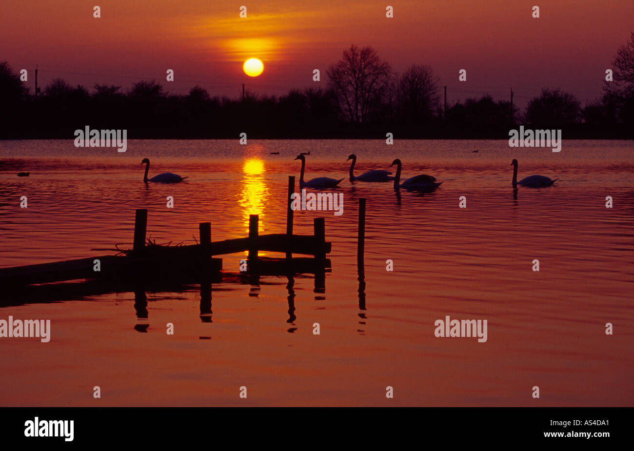 Tring Reservoirs - Hertfordshire Stock Photo - Alamy