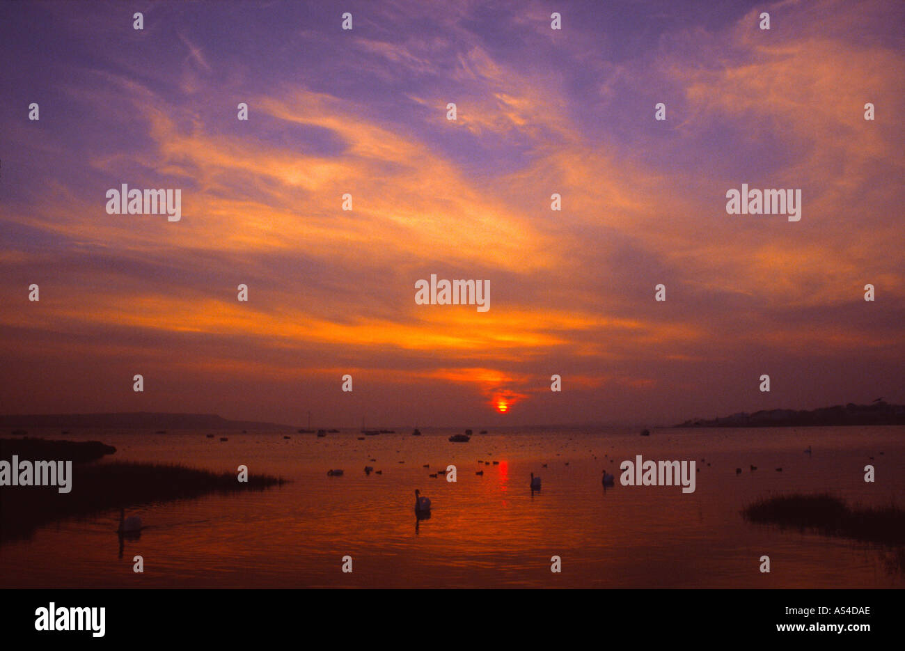 Christchurch bay dorset hi-res stock photography and images - Alamy