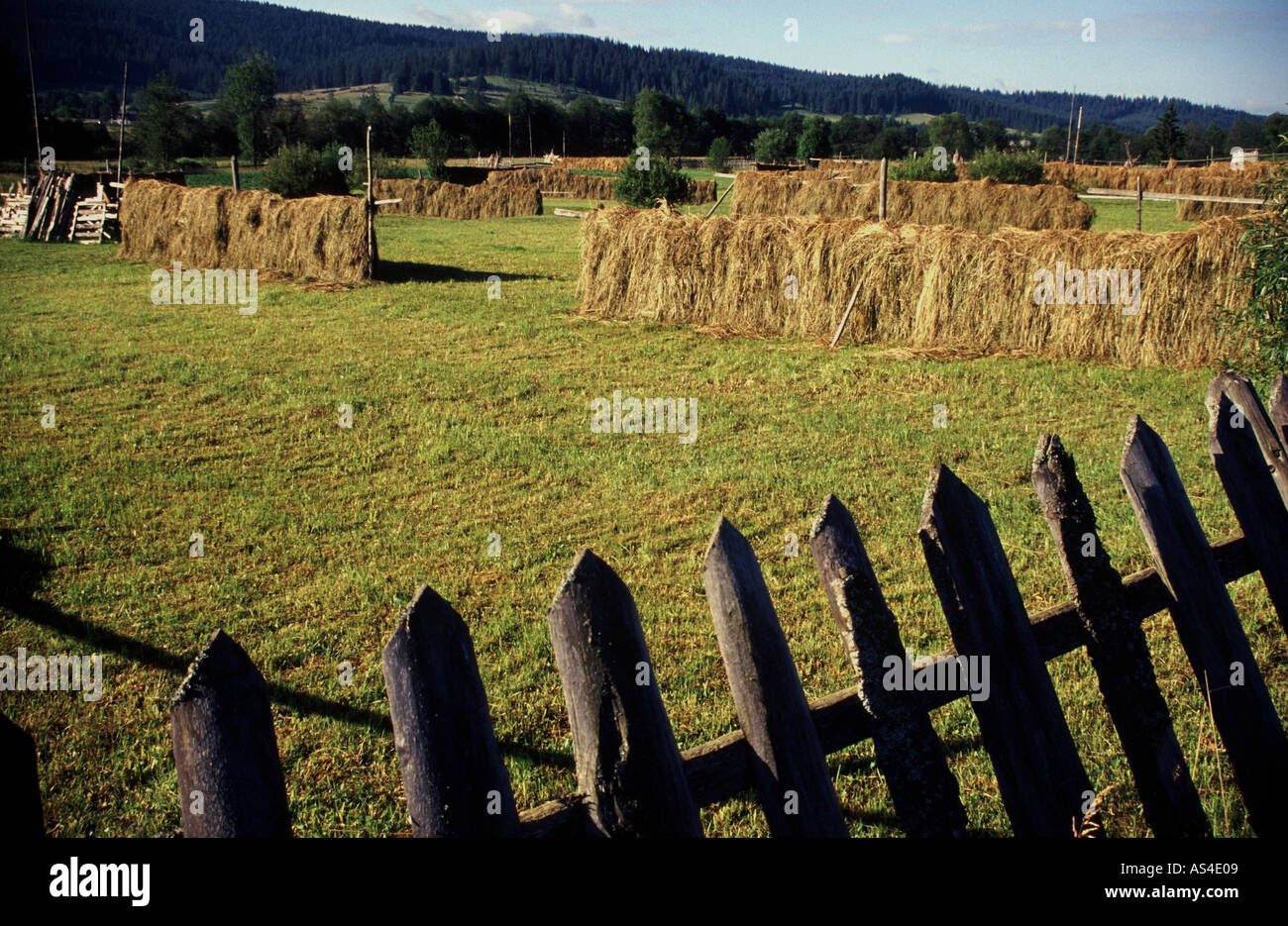 Farmland and pastures in Transylvania near the Borgo Pass Romania Stock ...
