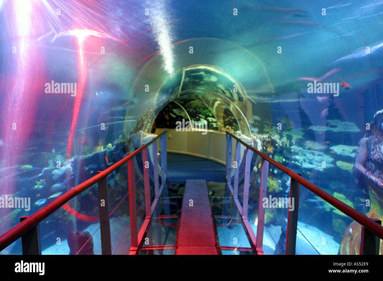 Sea Life Centre in Brindleyplace Aquarium Tourism attraction Birmingham ...