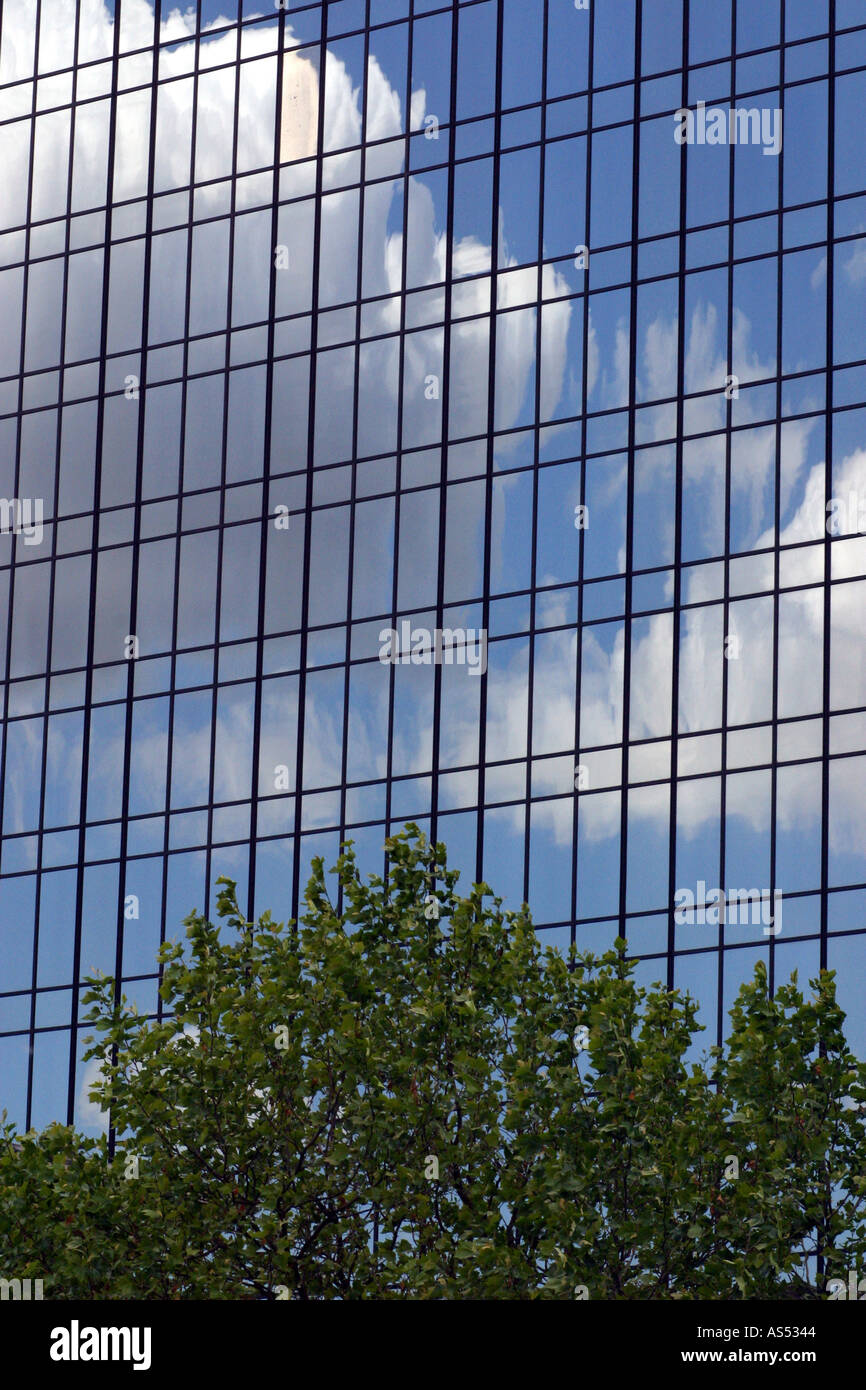 Clouds and sky reflected in the windows of a high rise building Stock ...