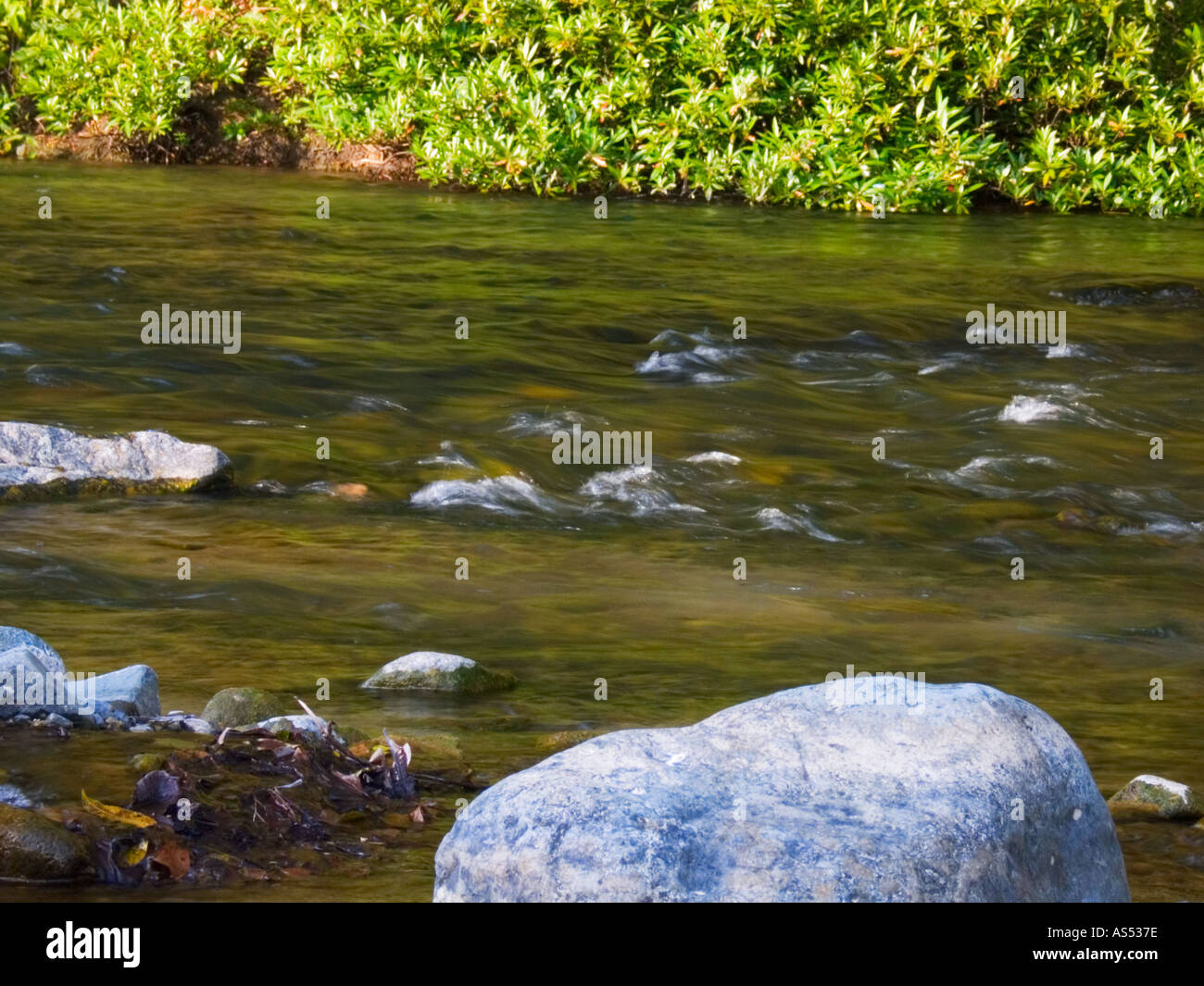 Boulder lined river Stock Photo - Alamy