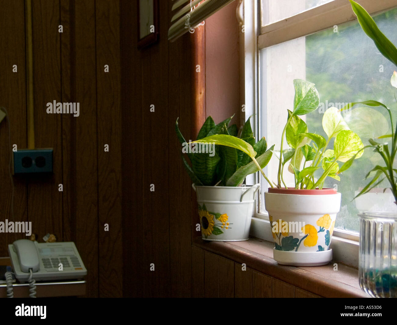 Plants office windowsill hi-res stock photography and images - Alamy
