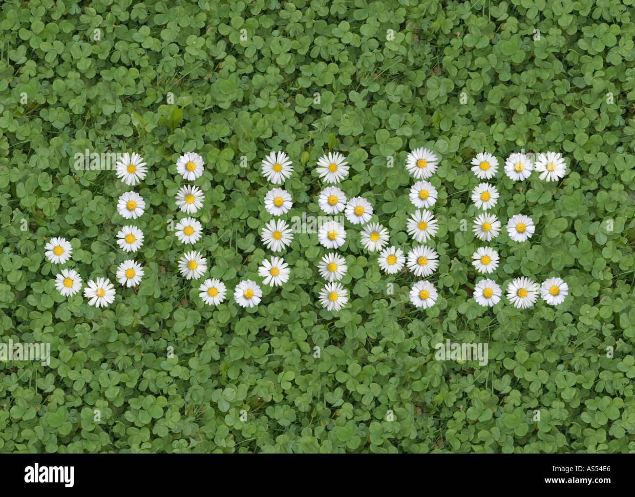 Many letters written hi-res stock photography and images - Alamy
