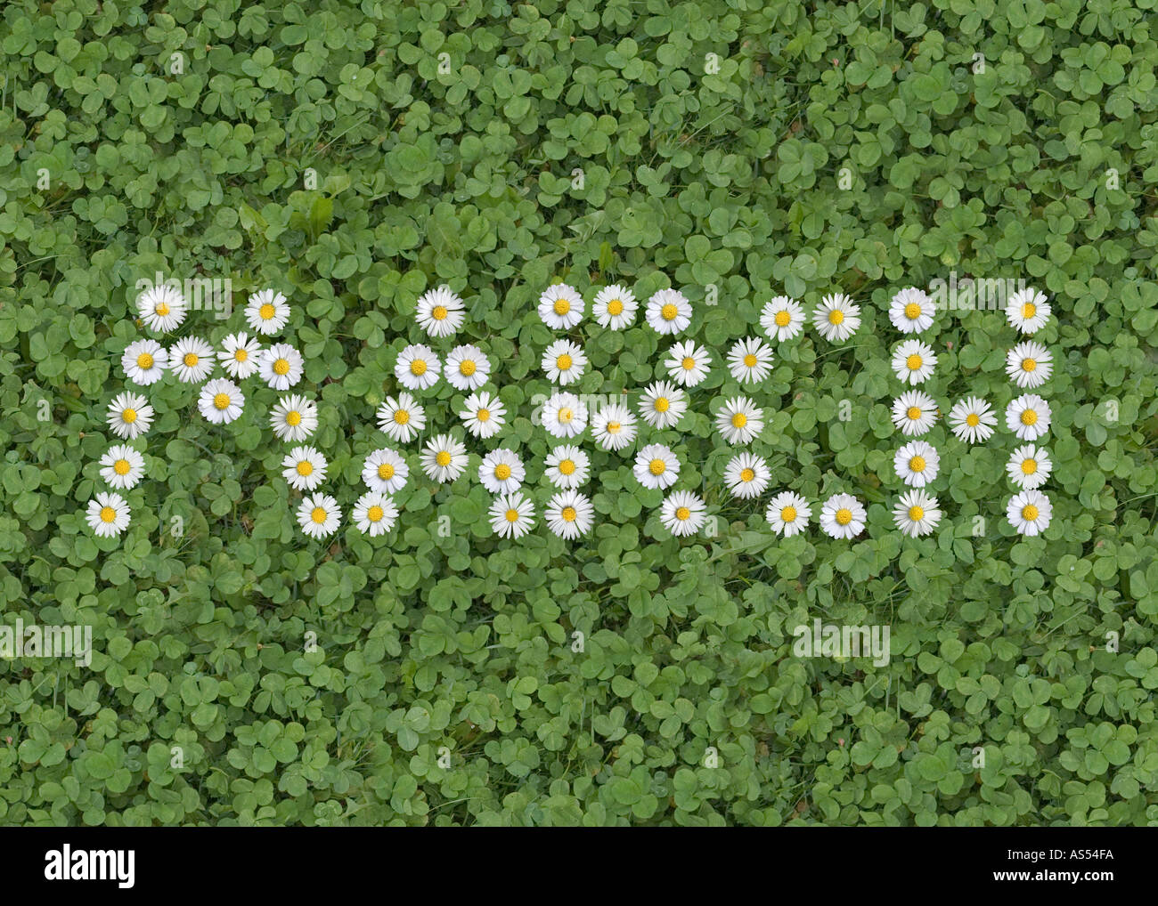 month march written with daisies Stock Photo - Alamy