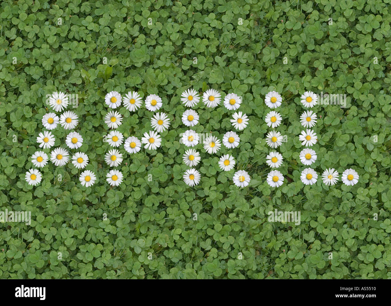 month april written with daisies Stock Photo - Alamy