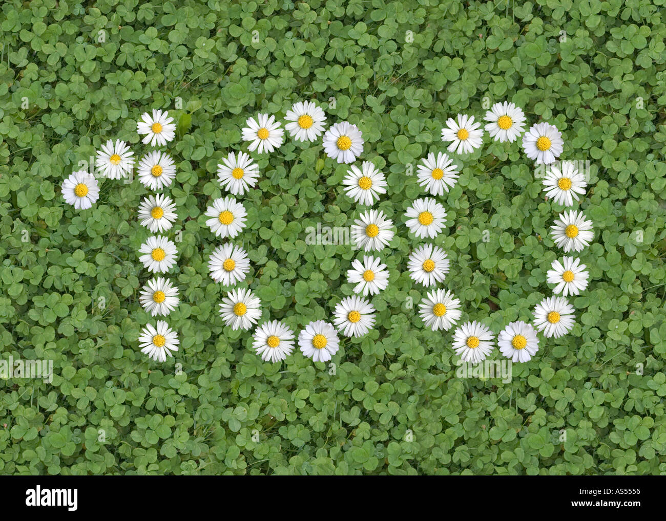 100 number plants hi-res stock photography and images - Alamy