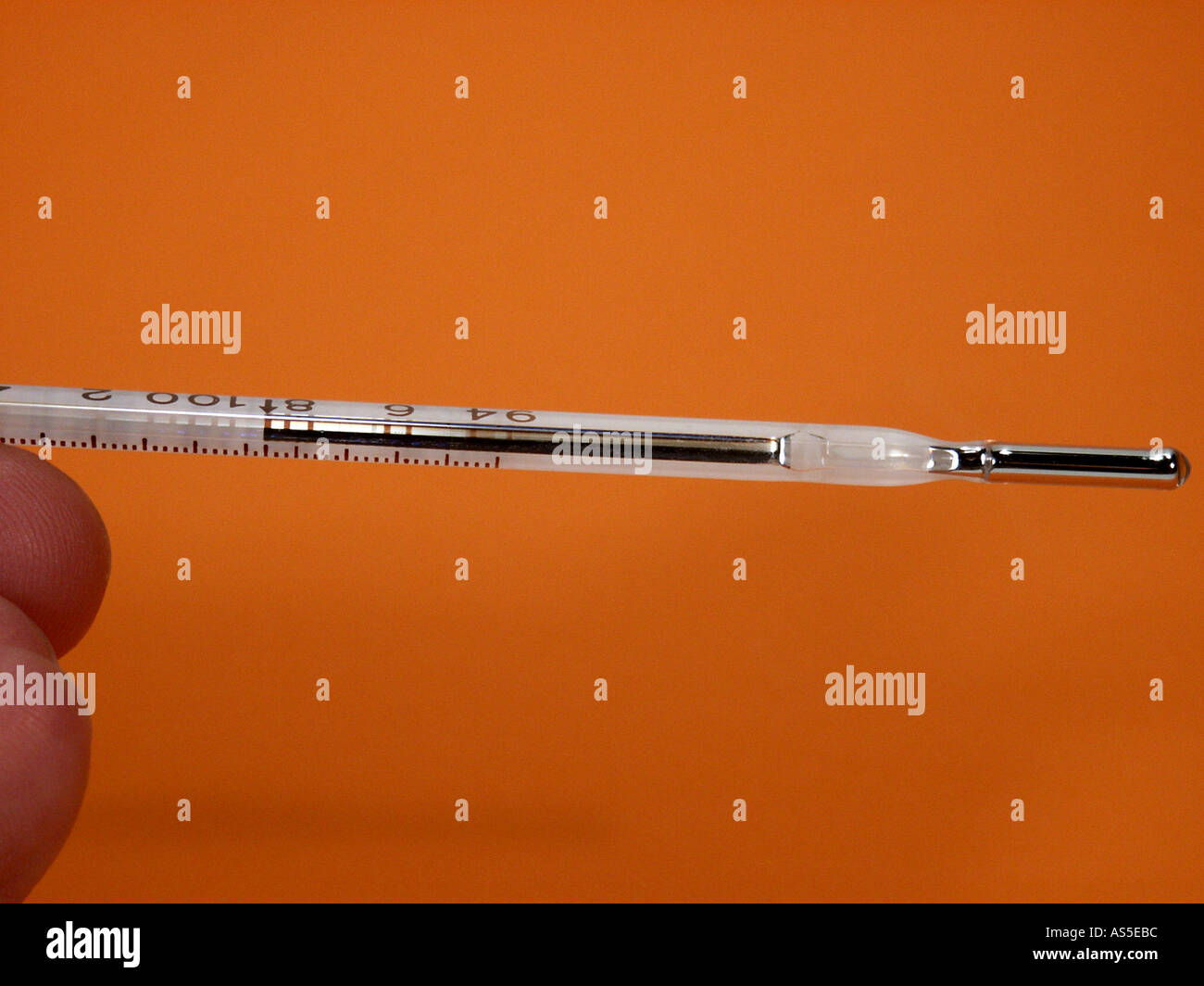 Oral Mercury Thermometer
