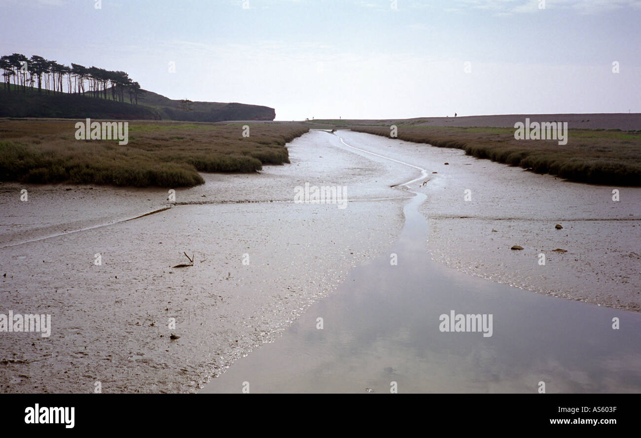 Otter estuary nature reserve hi-res stock photography and images - Alamy