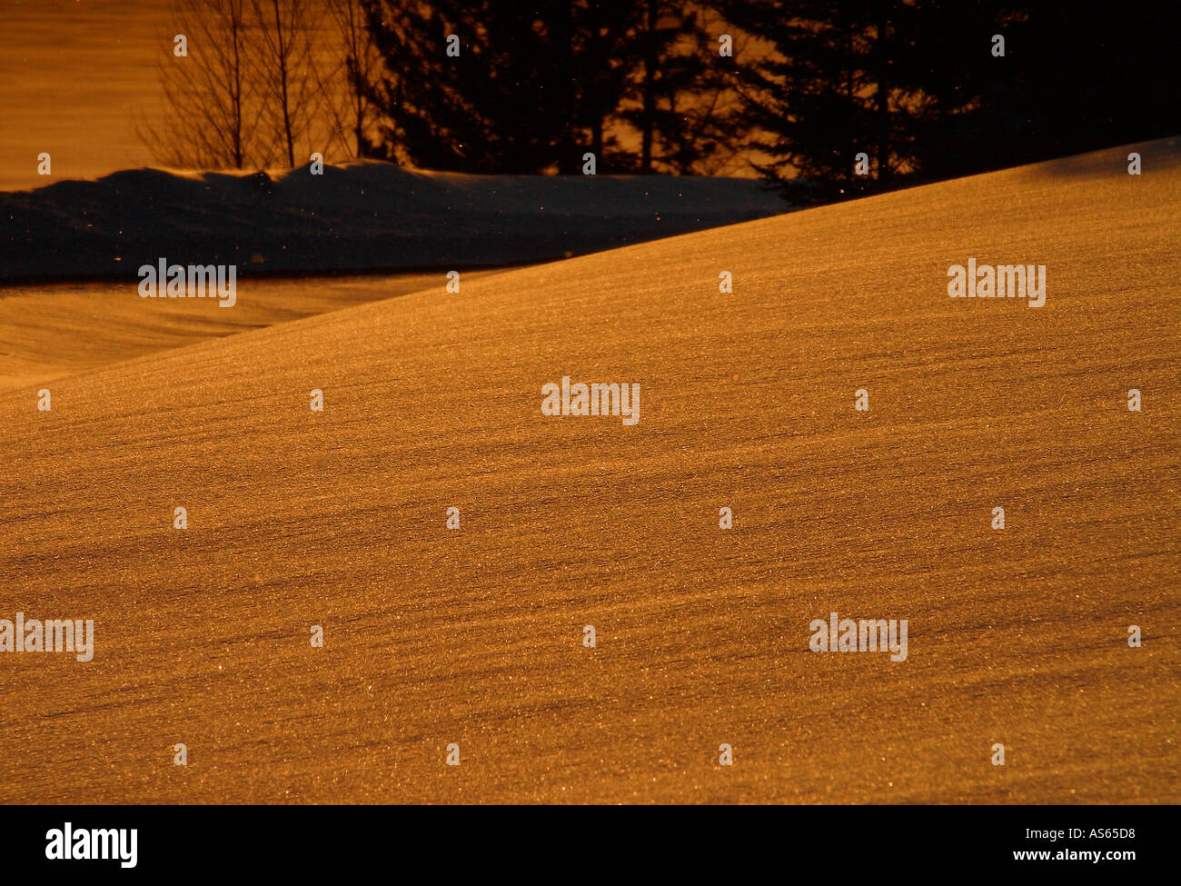 Sunset reflecting off the snow in scenic Northern Saskatchewan Canada ...