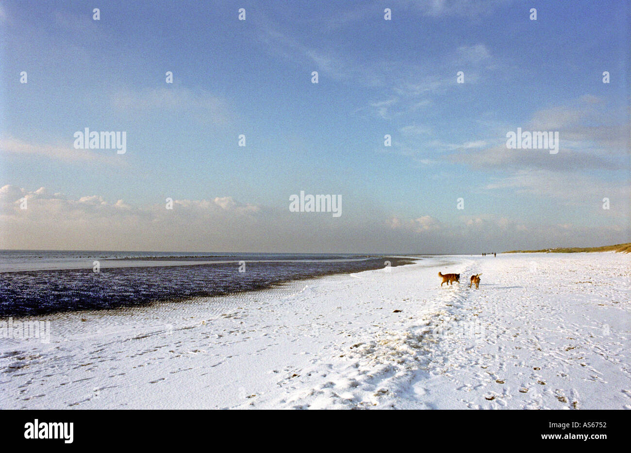 Ann beach hi-res stock photography and images - Alamy