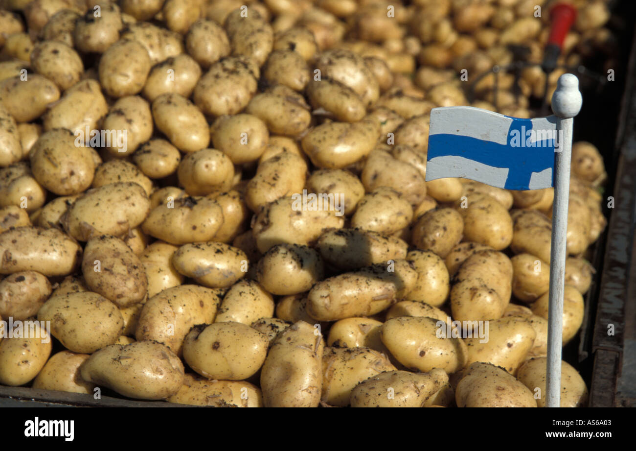 potatoes, Finnish flag Stock Photo - Alamy