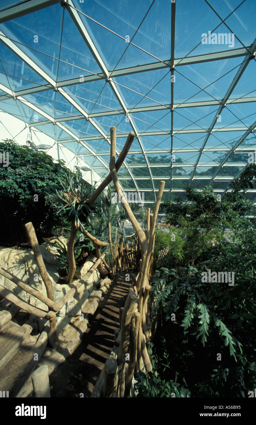 rain forest house Stock Photo - Alamy
