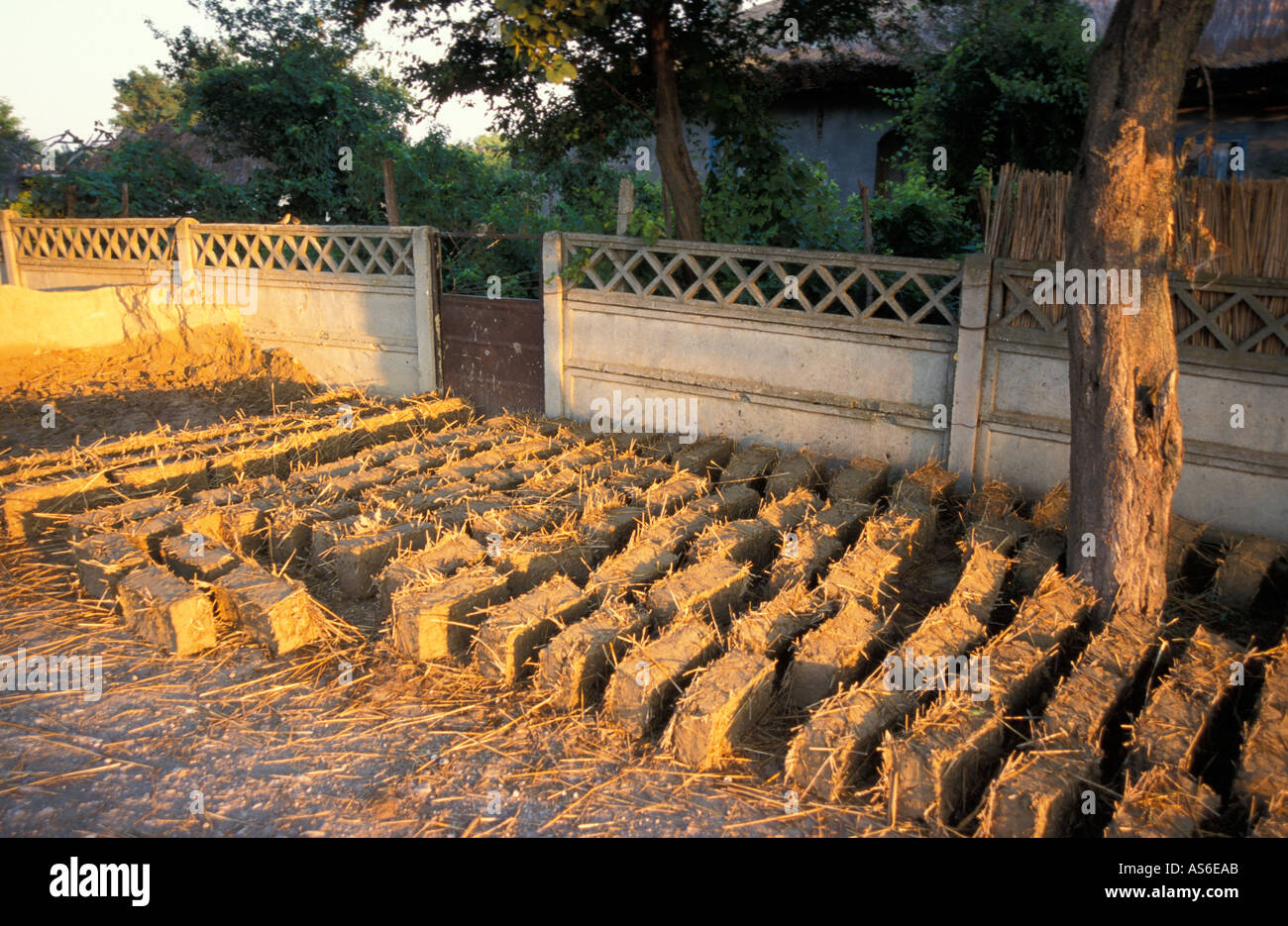 bricks from mud Stock Photo - Alamy