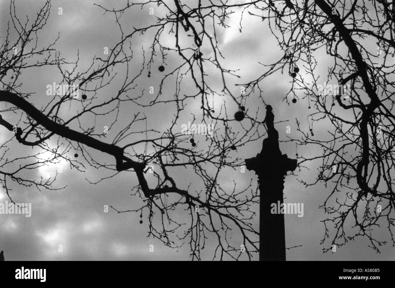 Nelson column statue Black and White Stock Photos & Images - Alamy