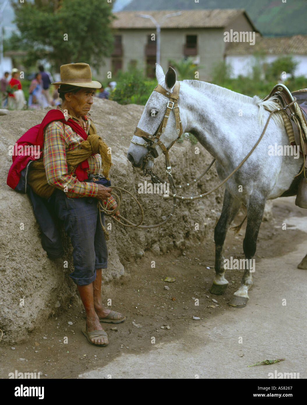Andean indian horseman in traditional dress with his mount rests in ...