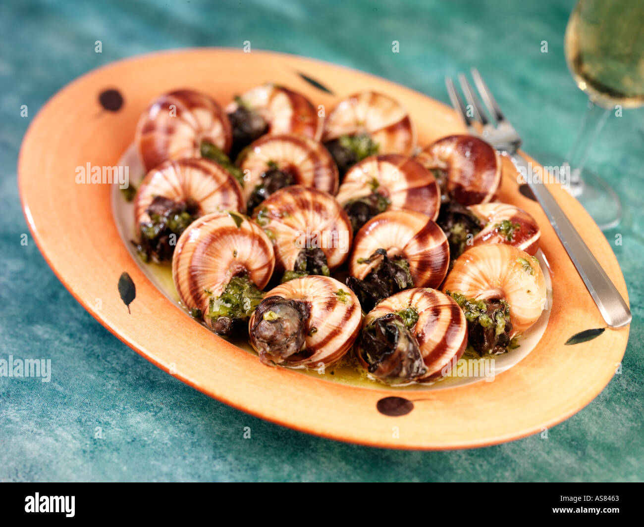 The snails hi-res stock photography and images - Alamy