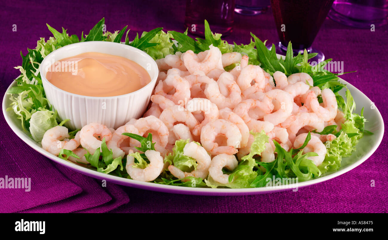 SMALL PEELED PRAWNS SHRIMP Stock Photo - Alamy