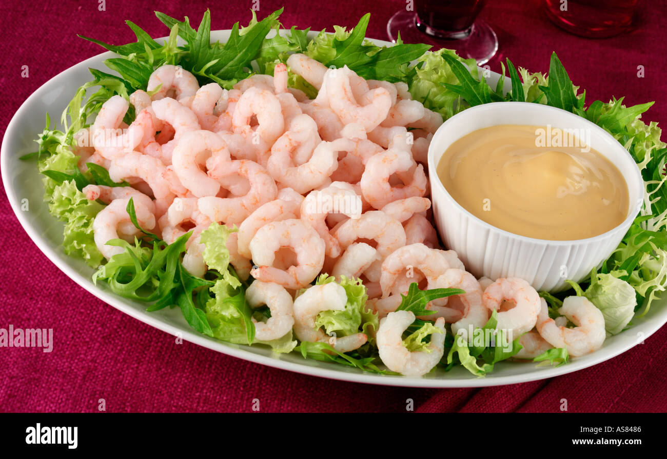 SMALL PEELED PRAWNS OR SHRIMP Stock Photo - Alamy
