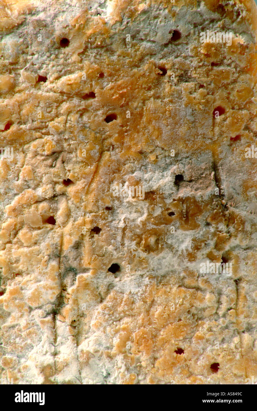 Stilton cheese rind hi-res stock photography and images - Alamy