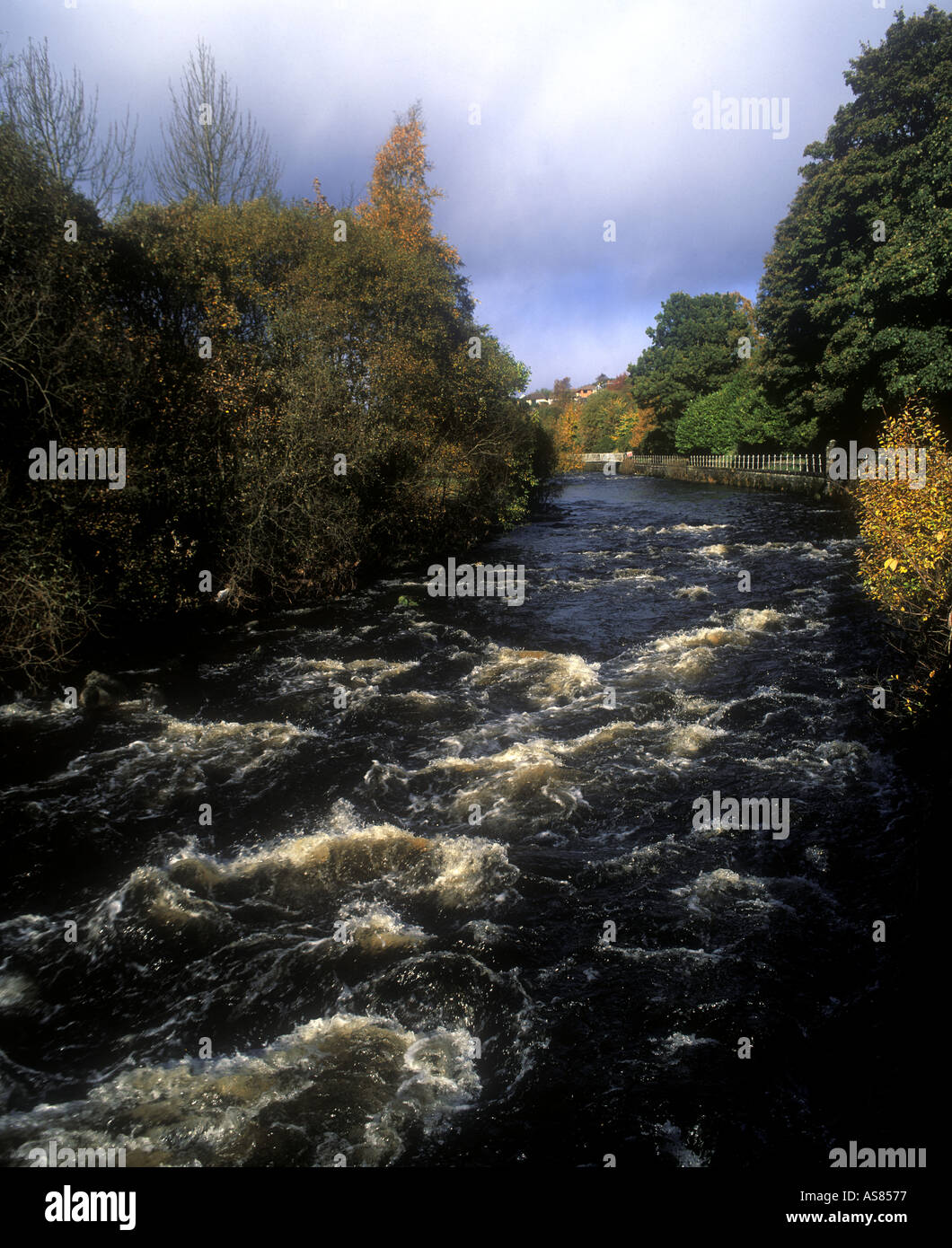 Allan Water Dunblane near Stirling Scotland Stock Photo - Alamy