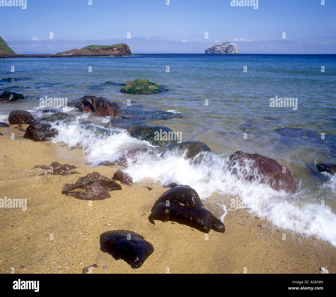 Wave on beach Seacliff near North Berwick East Lothian Scotland Stock ...