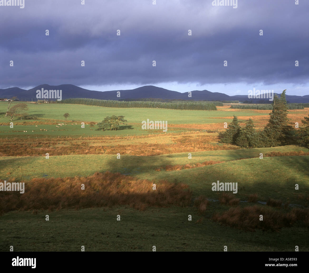 Moorland and Pentland Hills Leadburn near Edinburgh Scotland Stock ...