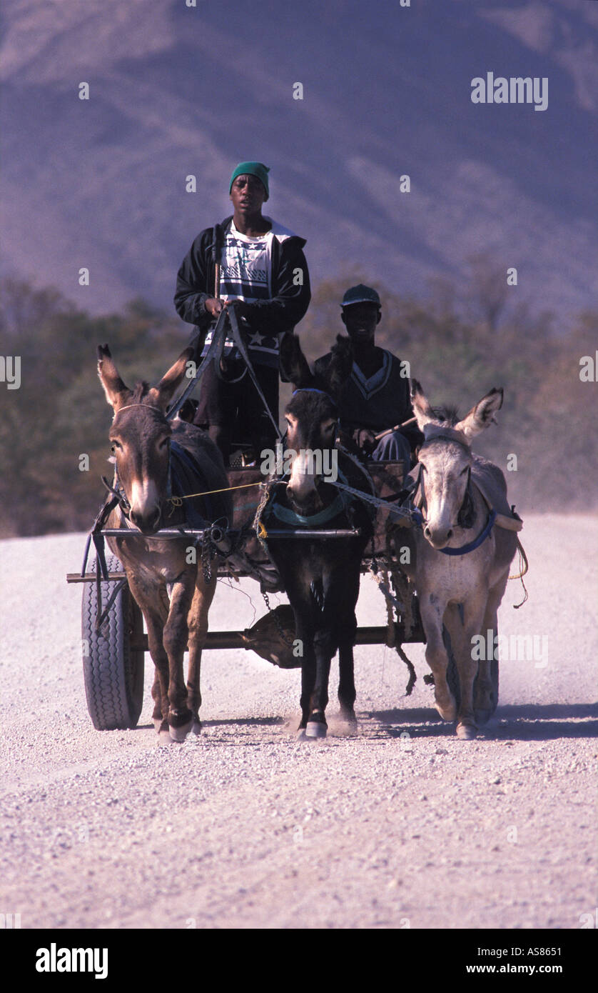 Donkey drawn cart on the Sesfontein to Opuwo road Namibia Stock Photo ...